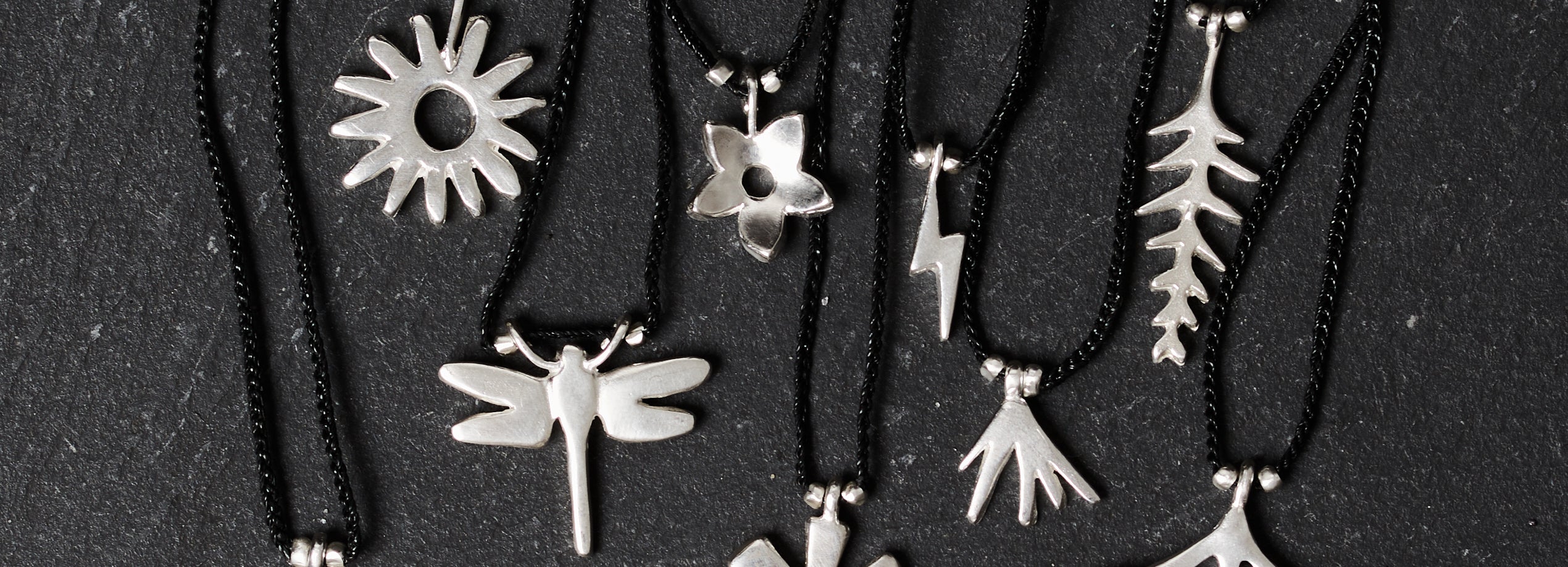 Field Guide Collection – Jill Platner